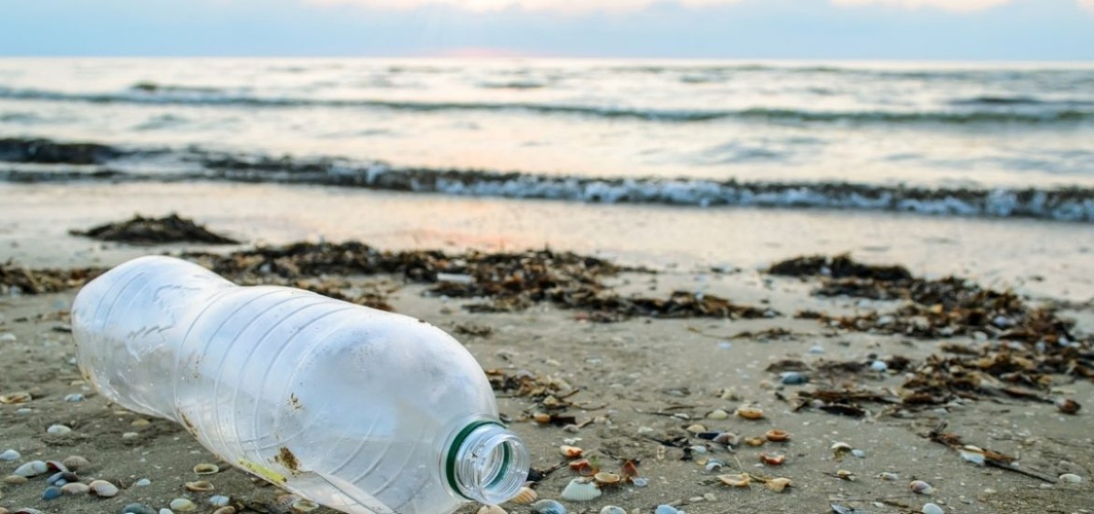 Net Zero Blog - The Ocean Plasticisation Pandemic: The Devastating ...